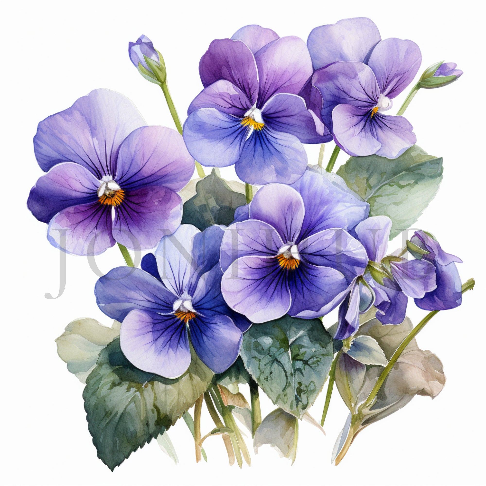 Violets Clipart | 10 High Quality Jpgs | Digital Download | Violets ...