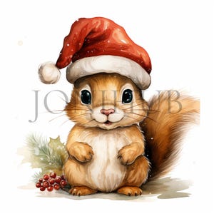 Squirrel Christmas Hat Clipart | 10 High Quality Jpg's | Digital ...