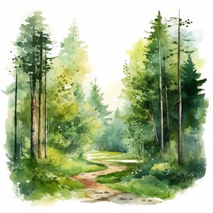 Summer Forest Clipart - 10 High Quality Jpgs | Junk Journals | Nature ...