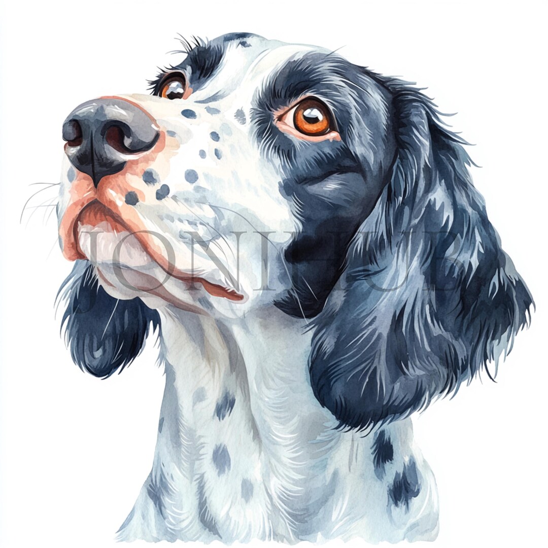 English Setter Clipart | 10 High Quality Jpg's | Digital Download | Dog ...