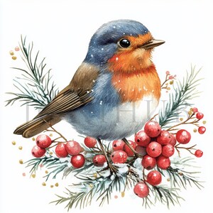 Various Christmas Birds Clipart | 10 High Quality Jpgs | Digital ...