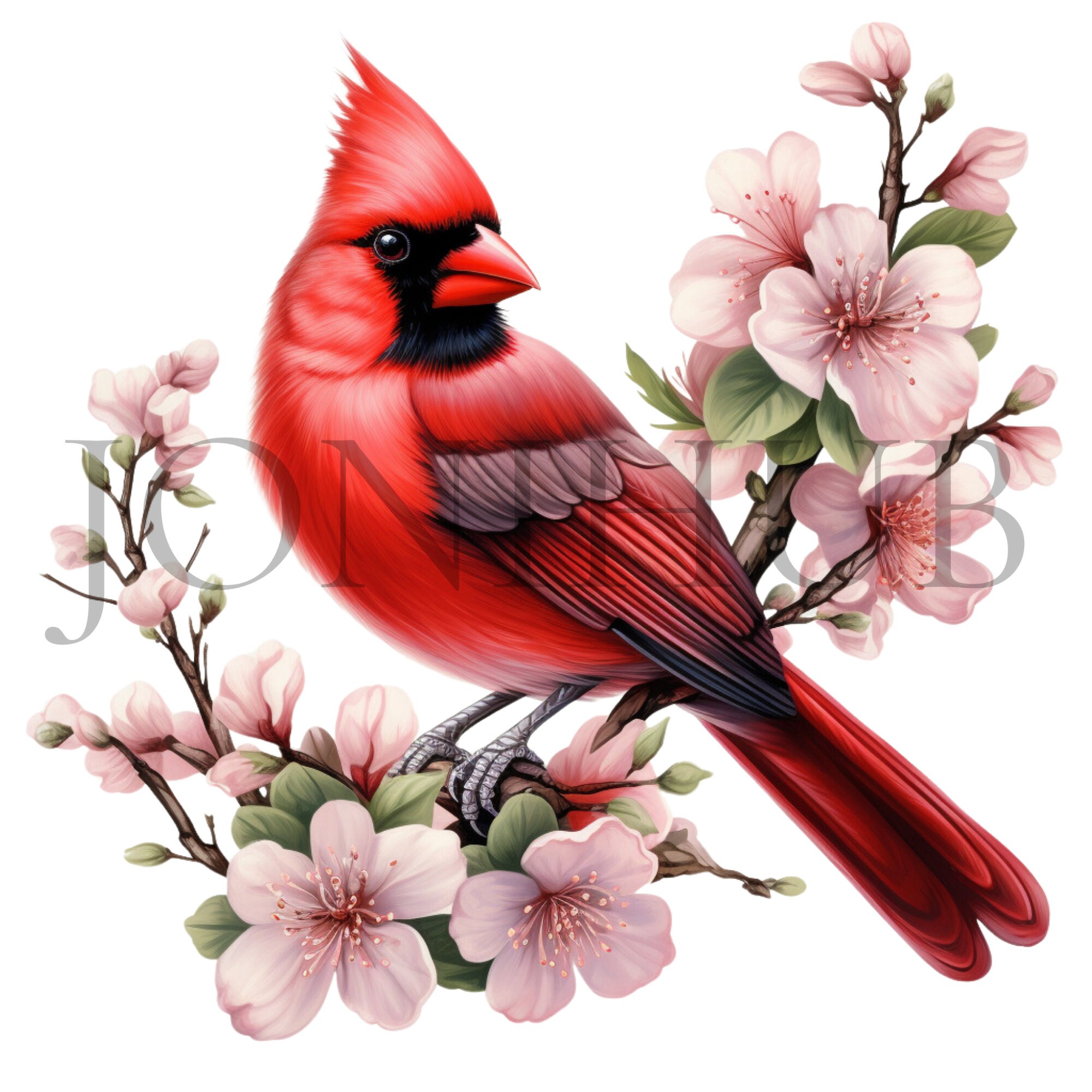 Red Cardinal Clipart 10 High Quality Jpg's Digital Download Cardinal ...