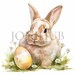 Easter Bunny and Egg Clipart | 10 High Quality Jpg's | Digital Download ...