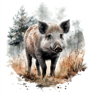 Wild Boar in Forest Clipart | 10 High Quality Jpgs | Digital Download ...