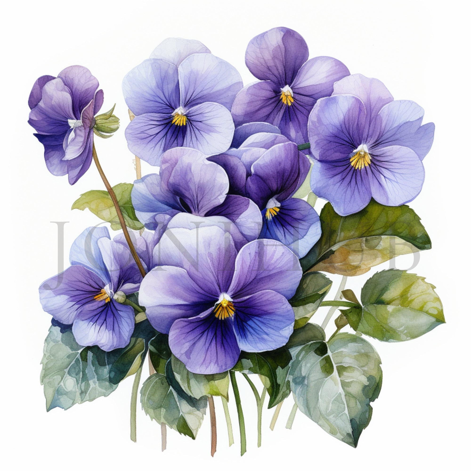 Violets Clipart | 10 High Quality Jpgs | Digital Download | Violets ...