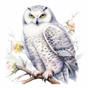 Snowy Owl Clipart | 10 High Quality Jpgs | Instant Digital Download ...