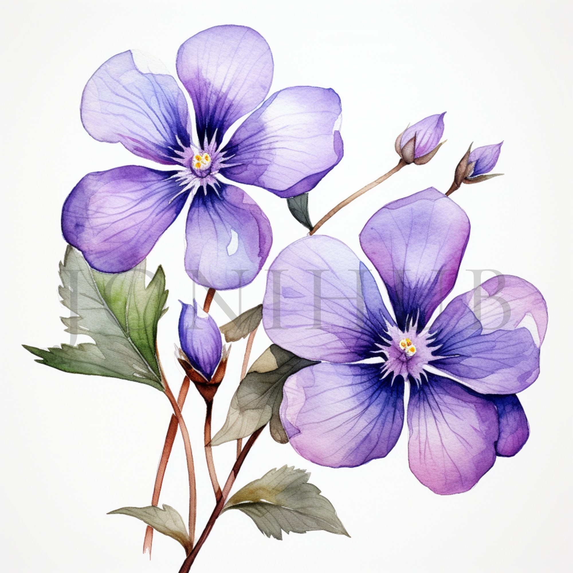 Violets Clipart | 10 High Quality Jpgs | Digital Download | Violets ...