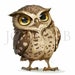Burrowing Owl Clipart | 10 High Quality Jpgs | Digital Download | Owl ...
