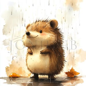 Hedgehog Rainy Clipart | 10 High Quality JPG | Digital Download | Junk ...