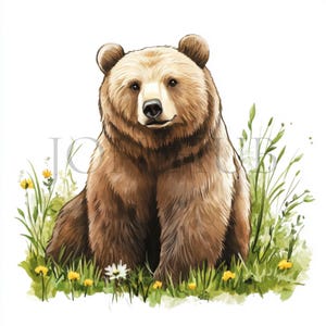 Bear in a Meadow Clipart | 10 High Quality Jpg's | Digital Download ...