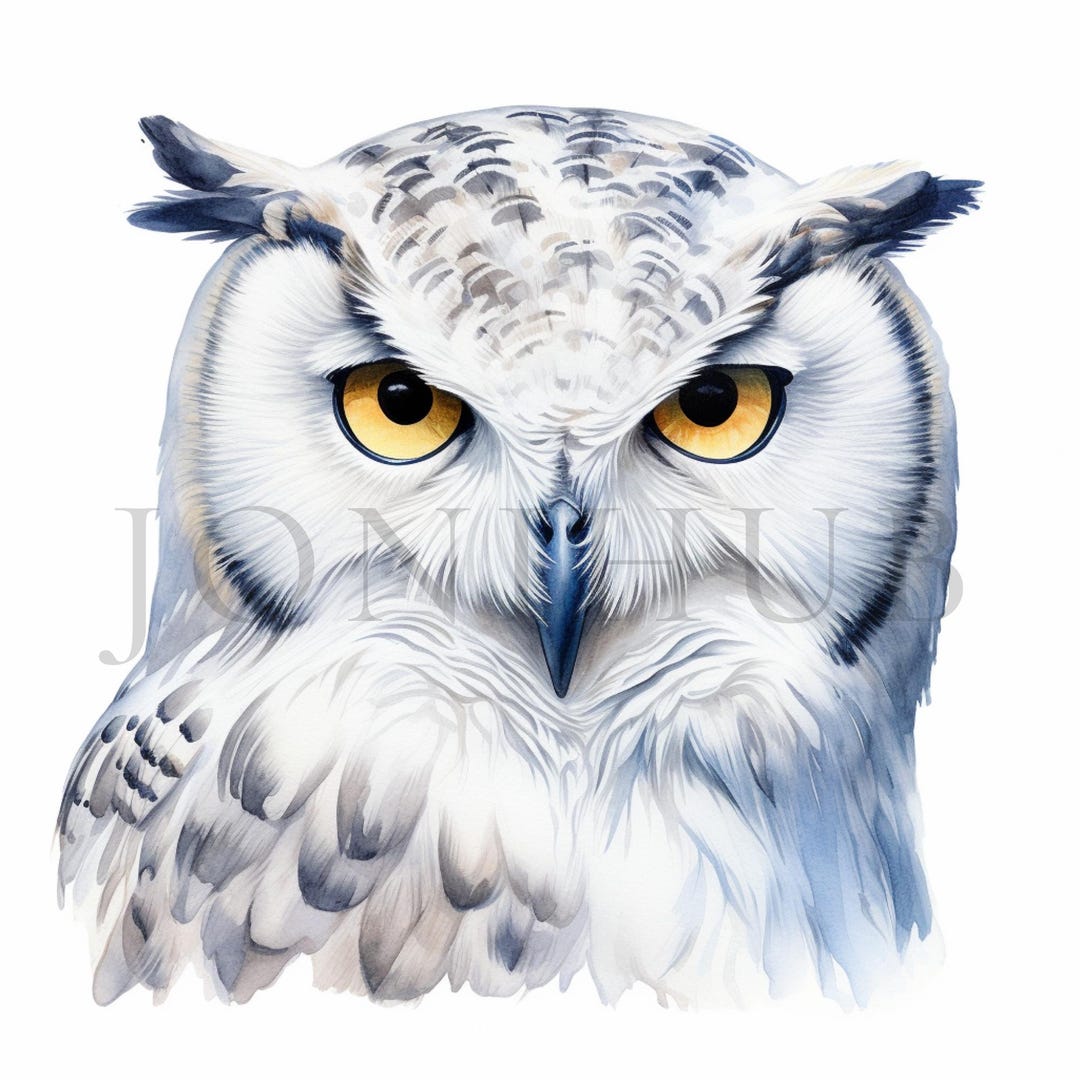 Snowy Owl Clipart | 10 High Quality Jpgs | Instant Digital Download ...