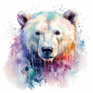 Colorful Polar Bear Clipart | 10 High Quality Jpgs | Digital Download ...