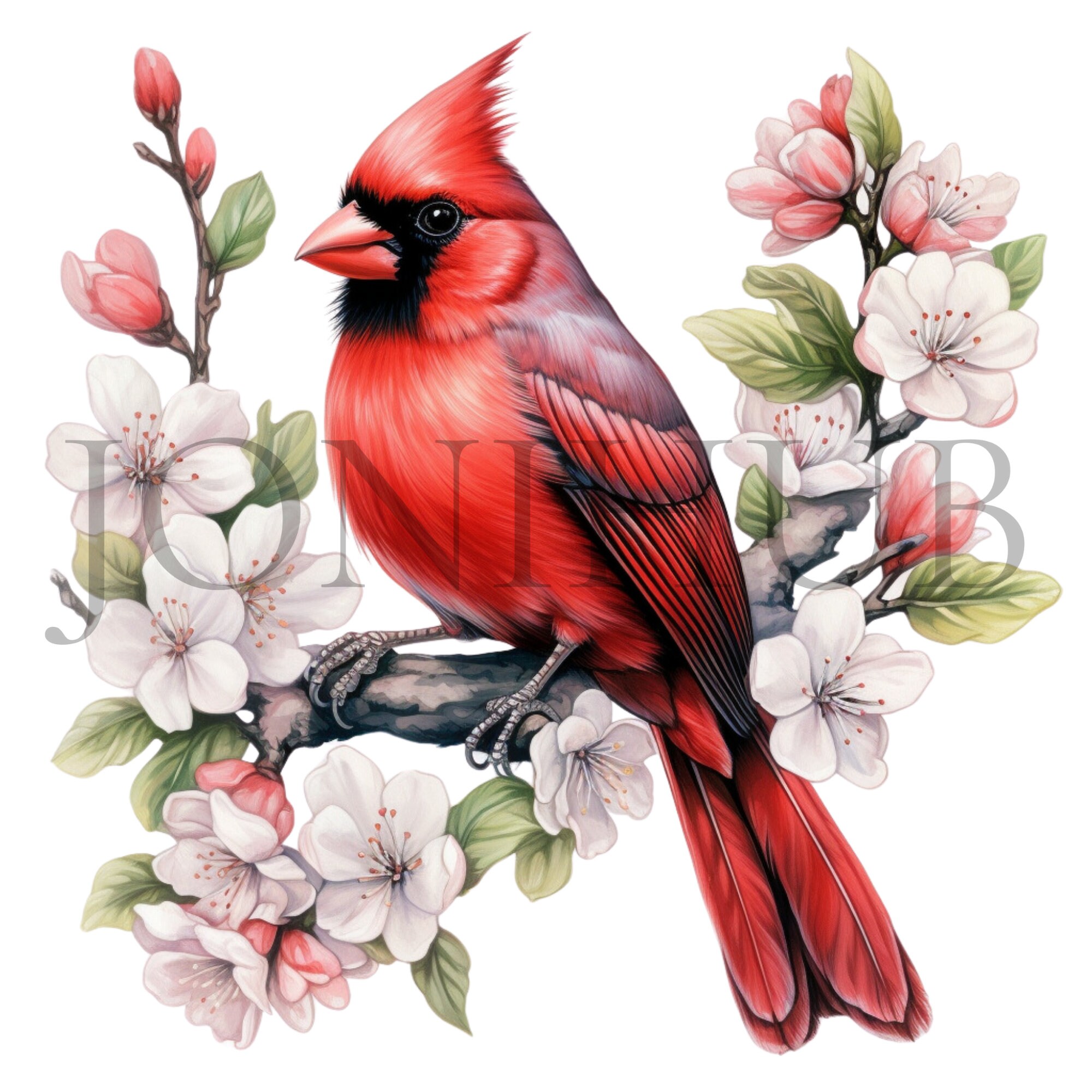 Red Cardinal Clipart 10 High Quality Jpg's Digital Download Cardinal ...