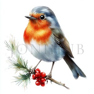 Various Christmas Birds Clipart | 10 High Quality Jpgs | Digital ...