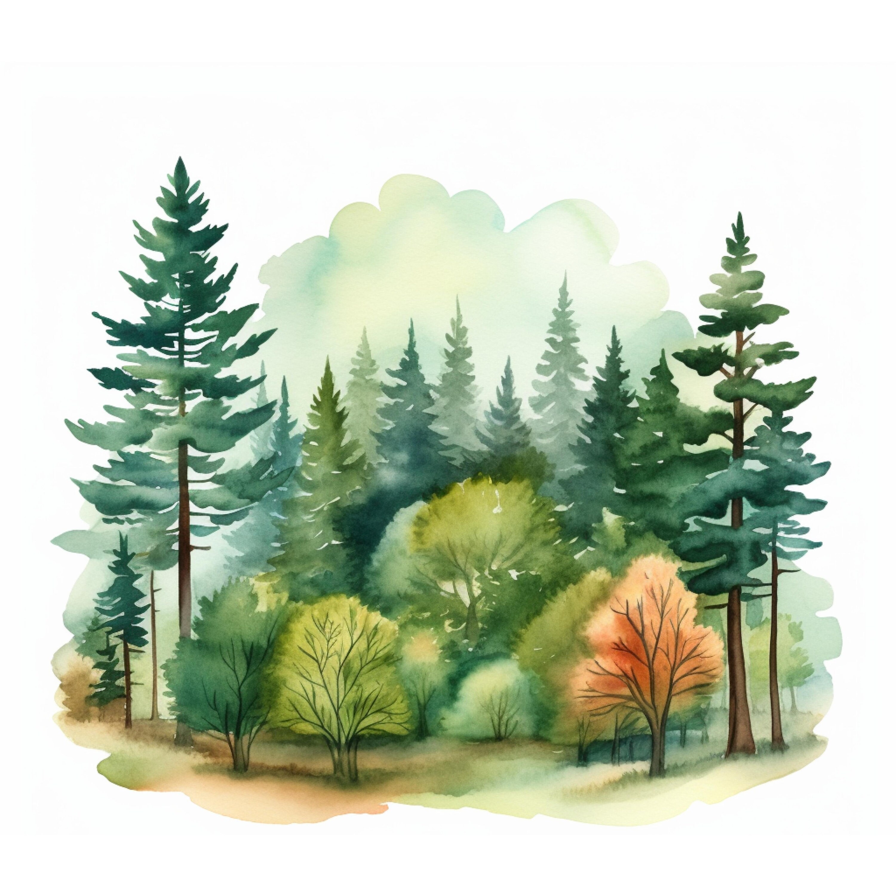 Watercolor Forest Clipart | 10 High Quality Jpegs | Misty Forest ...