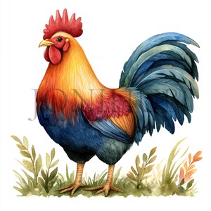 Coloured Rooster Clipart | 10 High Quality Jpg's | Digital Download ...