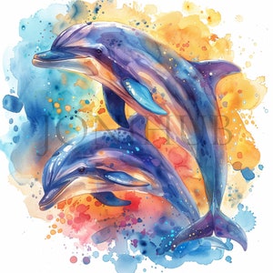 Colorful Dolphins Clipart | 10 High Quality Jpg's | Digital Download ...