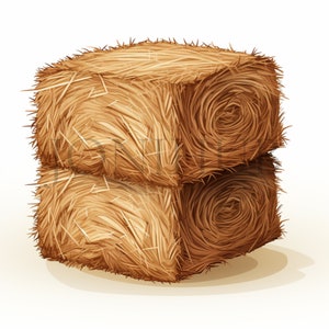 Hay Bale Clipart | 10 High Quality Jpg's | Digital Download | Clipart ...