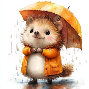 Hedgehog Rainy Clipart | 10 High Quality JPG | Digital Download | Junk ...
