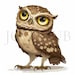 Burrowing Owl Clipart | 10 High Quality Jpgs | Digital Download | Owl ...