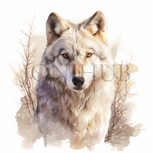 Wolf in Winter Clipart 10 High Quality Jpgs Digital Download Winter ...