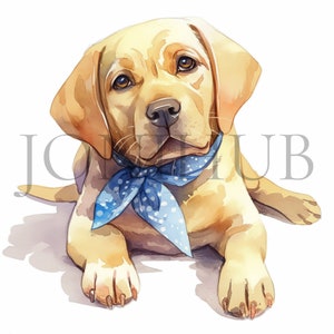 Labrador Clipart | 10 High Quality Jpg's | Digital Download | Pet ...