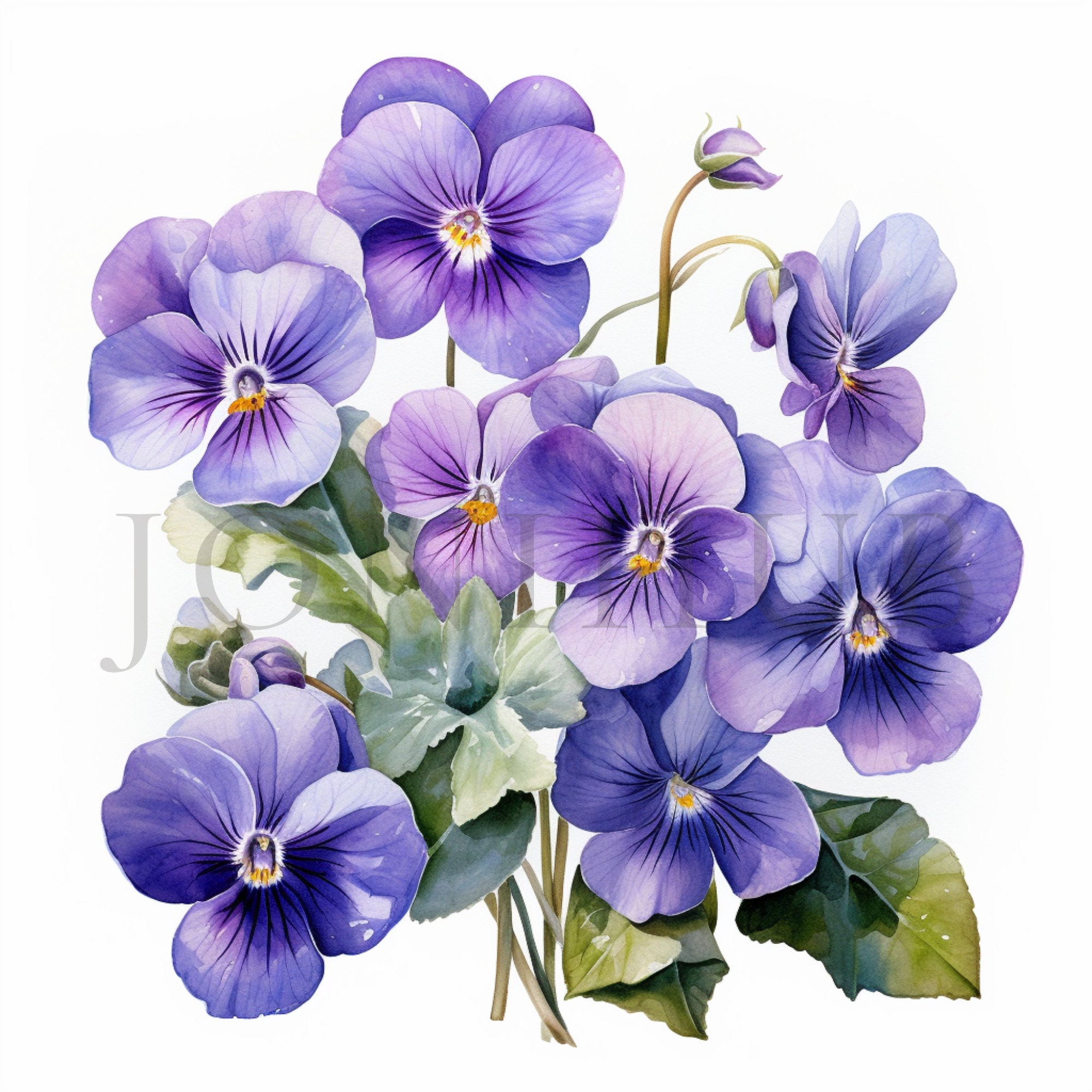 Violets Clipart | 10 High Quality Jpgs | Digital Download | Violets ...