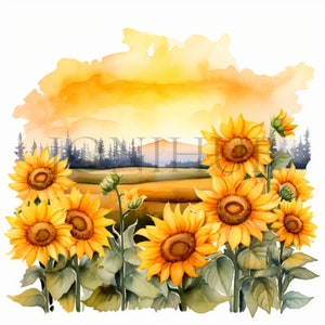 Sunflowers Fields Clipart | 10 High Quality Jpg's | Digital Download ...