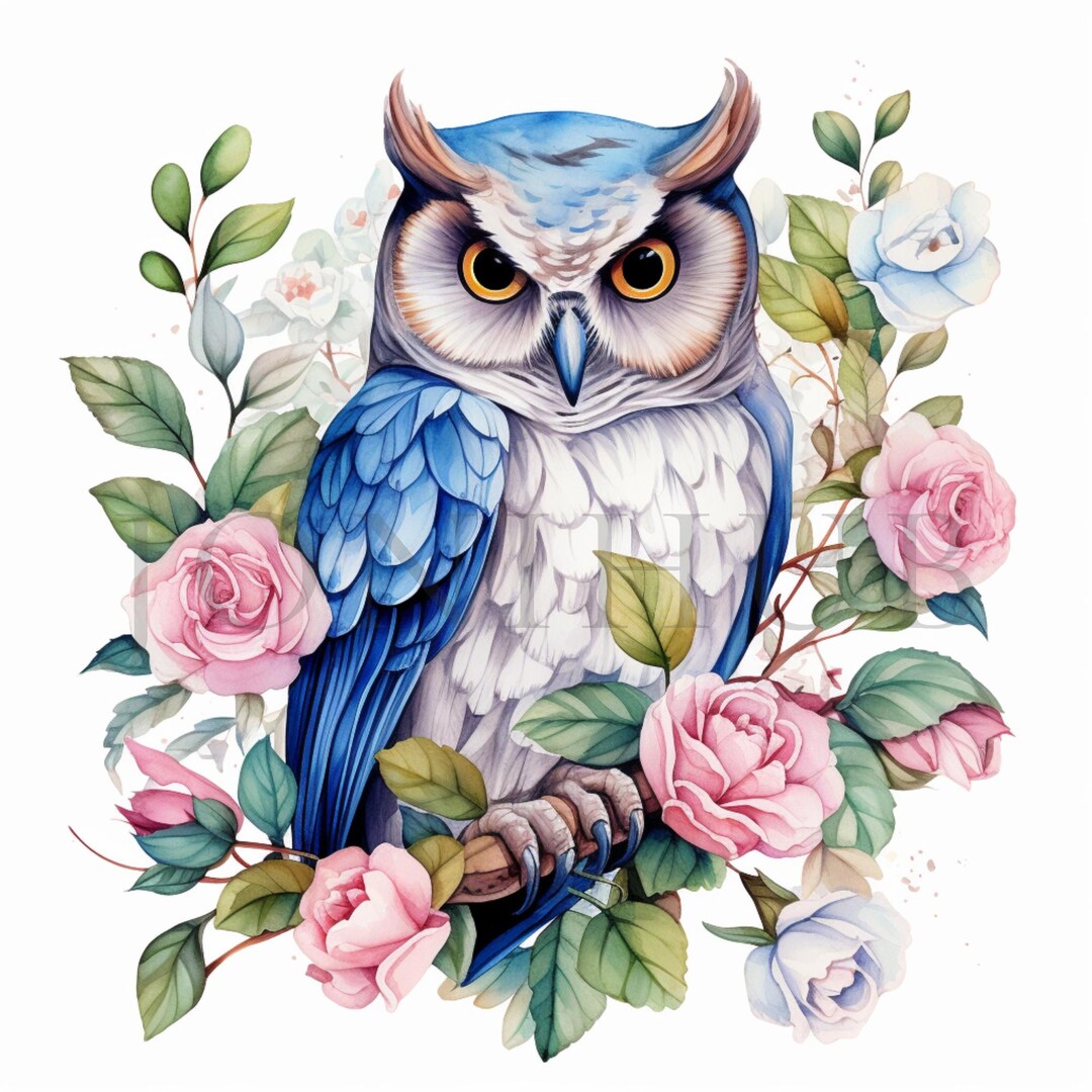 Watercolor Floral Owls Clipart | 10 High Quality Jpgs | Digital ...