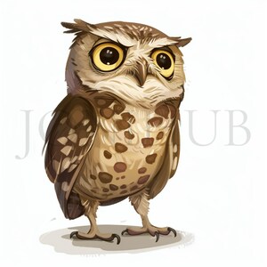 Burrowing Owl Clipart | 10 High Quality Jpgs | Digital Download | Owl ...