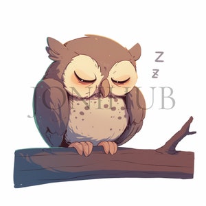 Sleepy Owls Clipart | 10 High Quality Jpg's | Digital Download | Bird ...