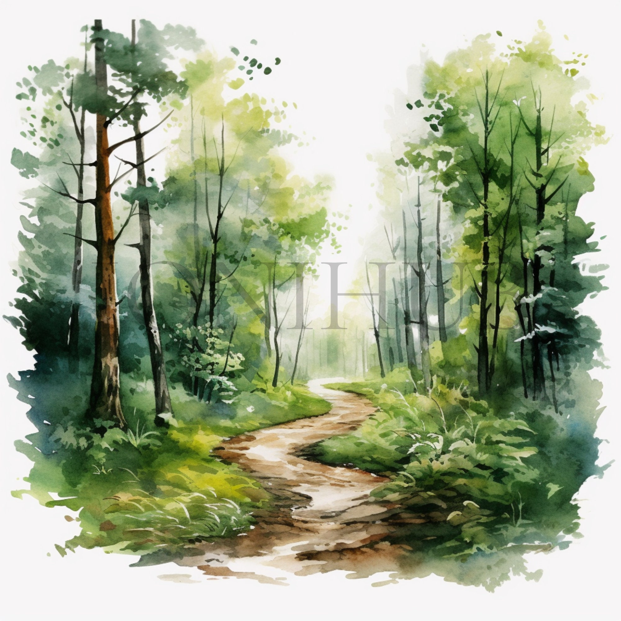 Forest Trail Clipart 10 High Quality Jpg's Digital Download Nature ...