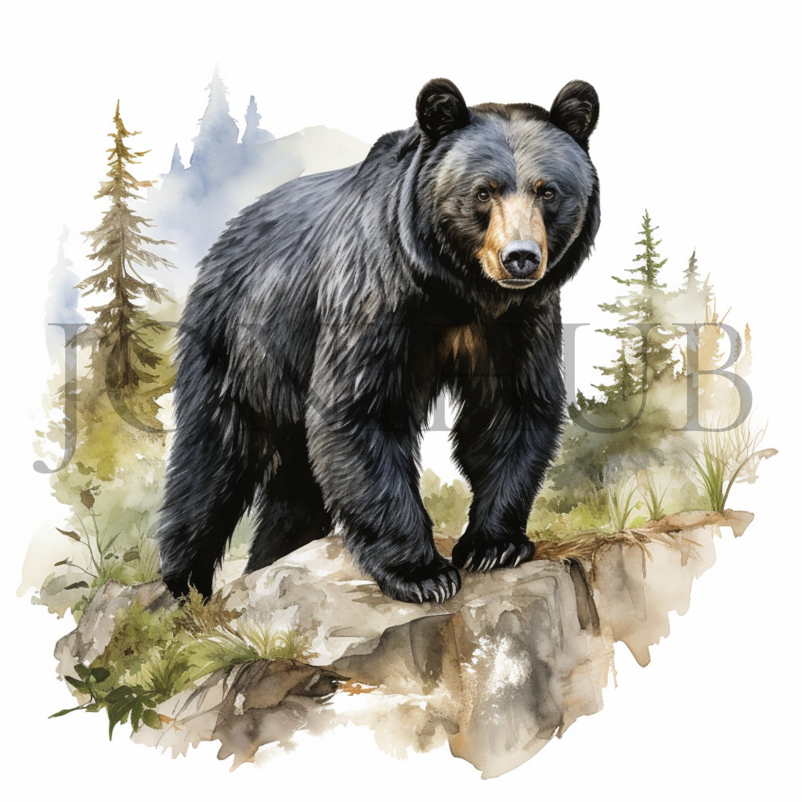 Watercolor Black Bear Clipart 10 High Quality Jpgs Digital Download ...