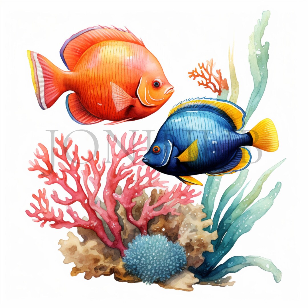Vibrant Coral Reef Fish Clipart | 10 High Quality Jpg's | Digital ...