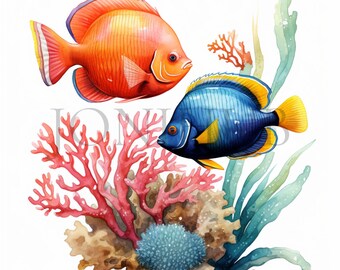 Vibrant Coral Reef Fish Clipart 5 High Quality Jpg's Digital Download ...