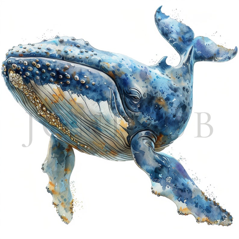 Whale Clipart | 10 High Quality Jpgs | Digital Download | Whale Drawing ...