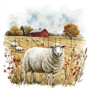 Farmyard Sheep Clipart | 10 High Quality Jpg's | Digital Download ...