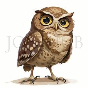 Burrowing Owl Clipart | 10 High Quality Jpgs | Digital Download | Owl ...