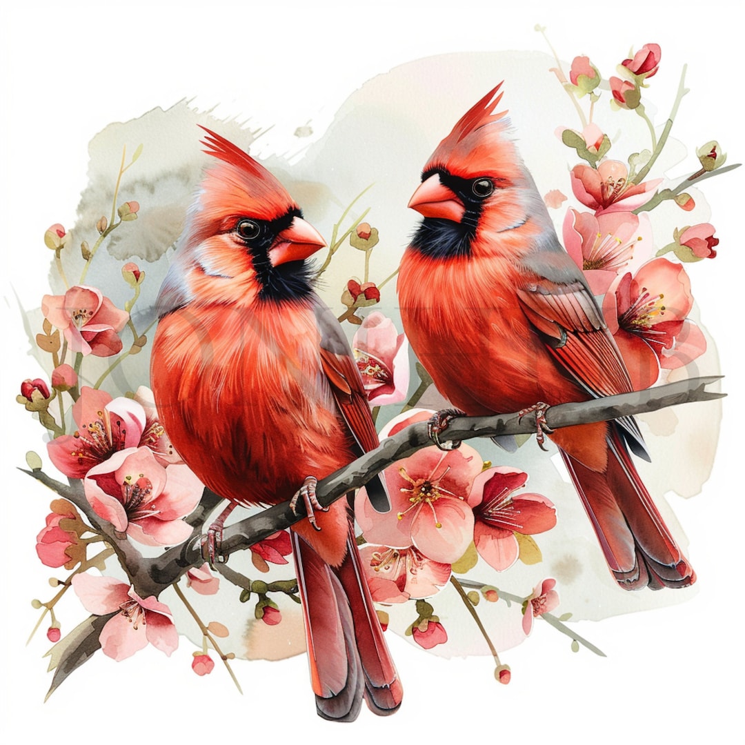 Cardinal Friends Flowers Clipart | 10 High Quality Jpgs | Digital ...