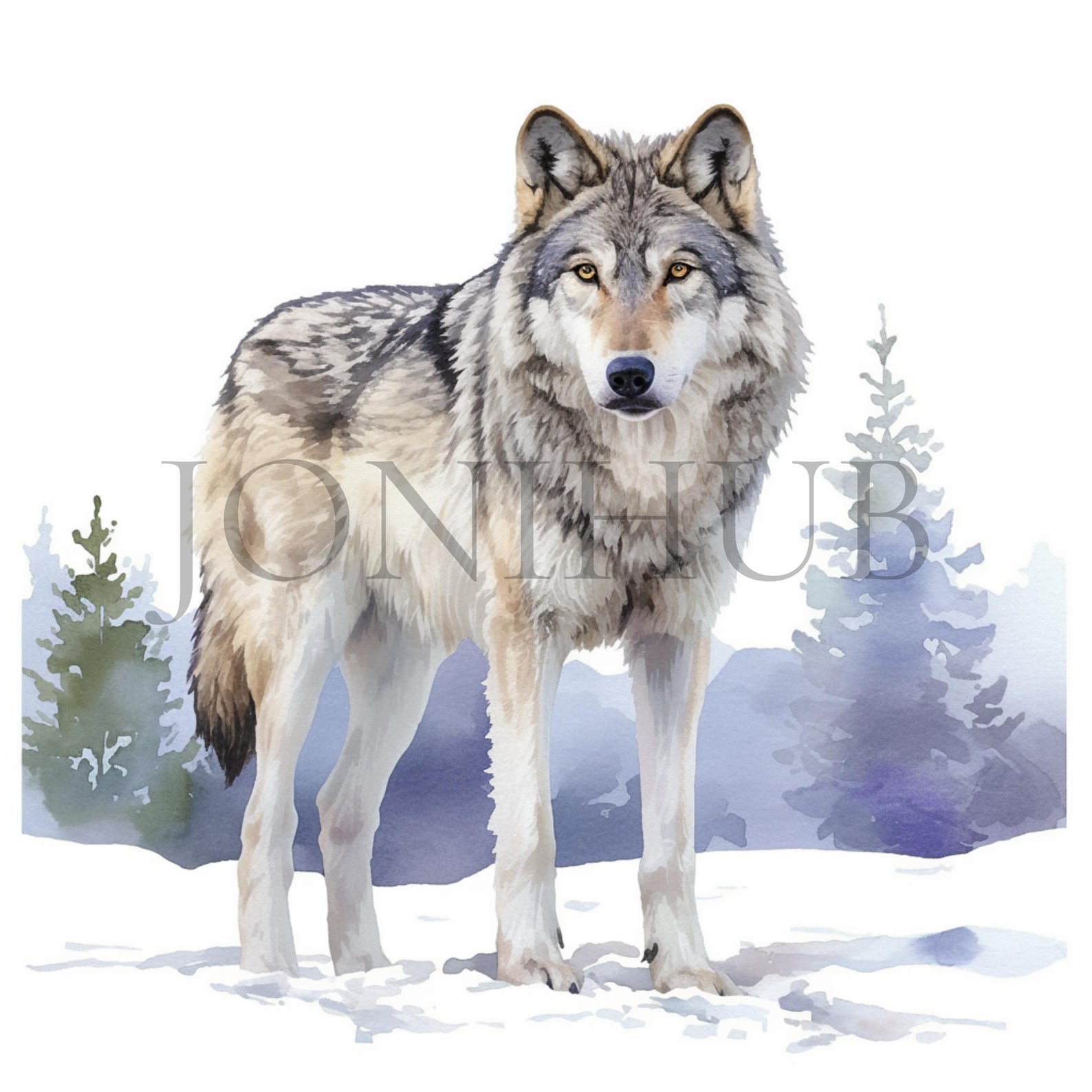 Wolf in Winter Clipart | 10 High Quality Jpgs | Digital Download ...