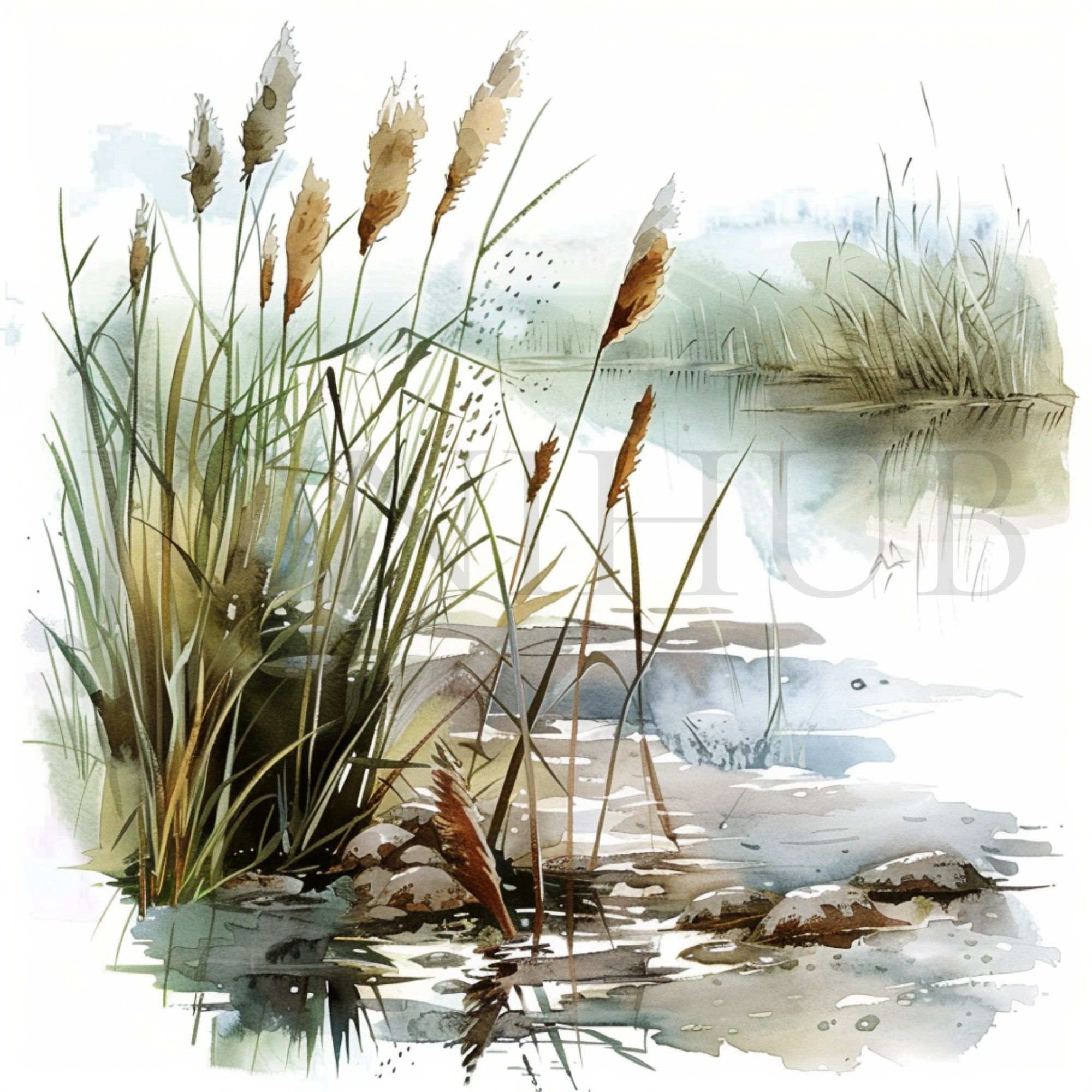 Watercolor Cattails and Reeds in Water Pond Clipart | 10 High Quality ...