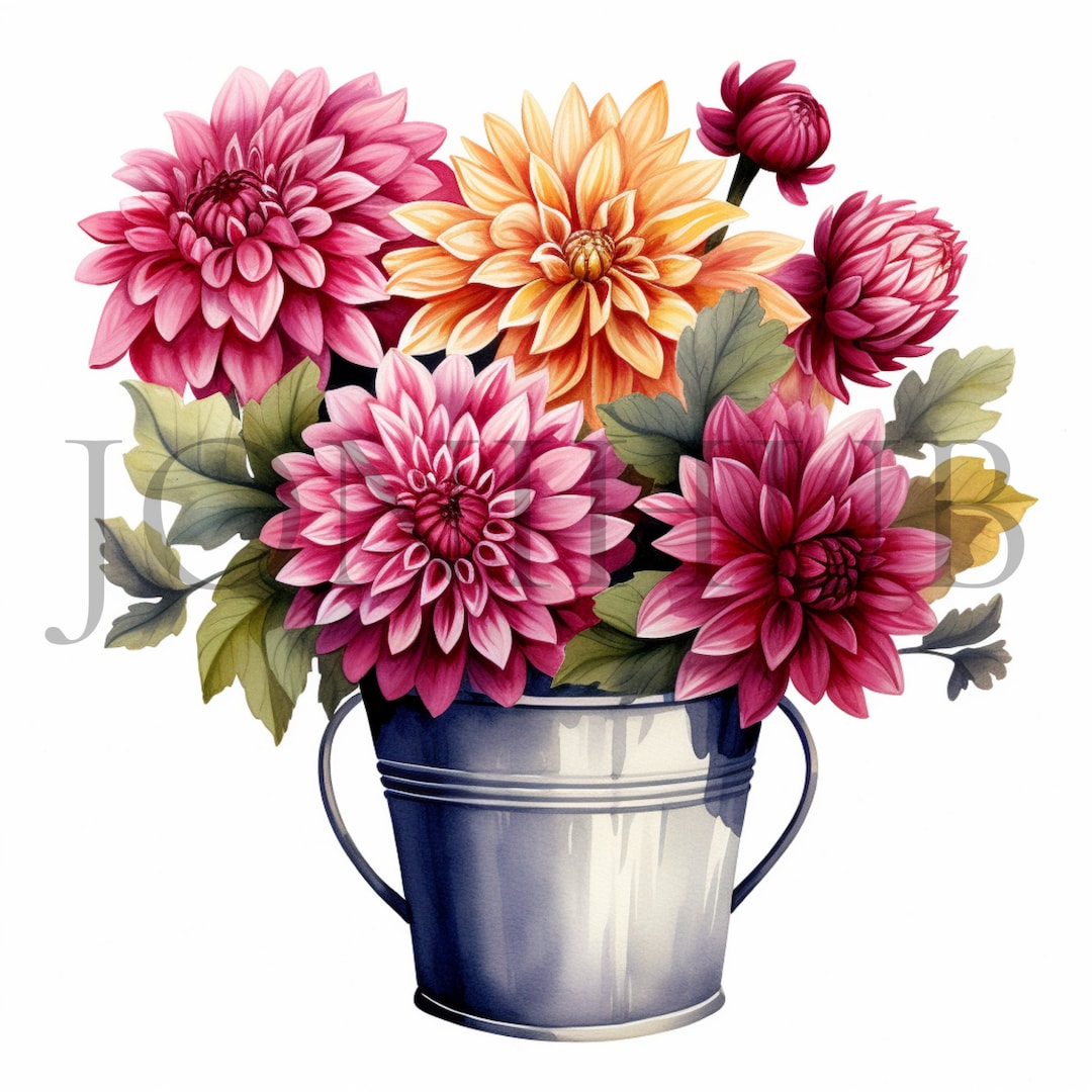 Dahlias Bucket Clipart | 10 High Quality Jpg's | Digital Download ...