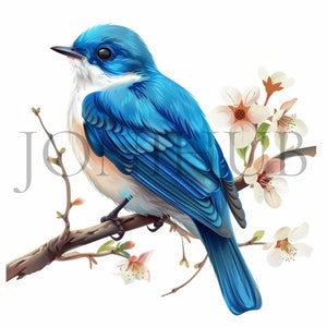 Spring Blue Bird Clipart | 10 High Quality Jpg's | Digital Download ...