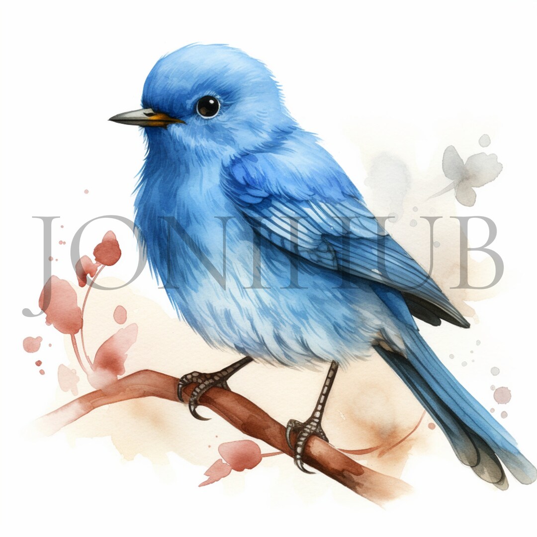 Watercolor Blue Bird Clipart | 10 High Quality Jpg's | Digital Download ...