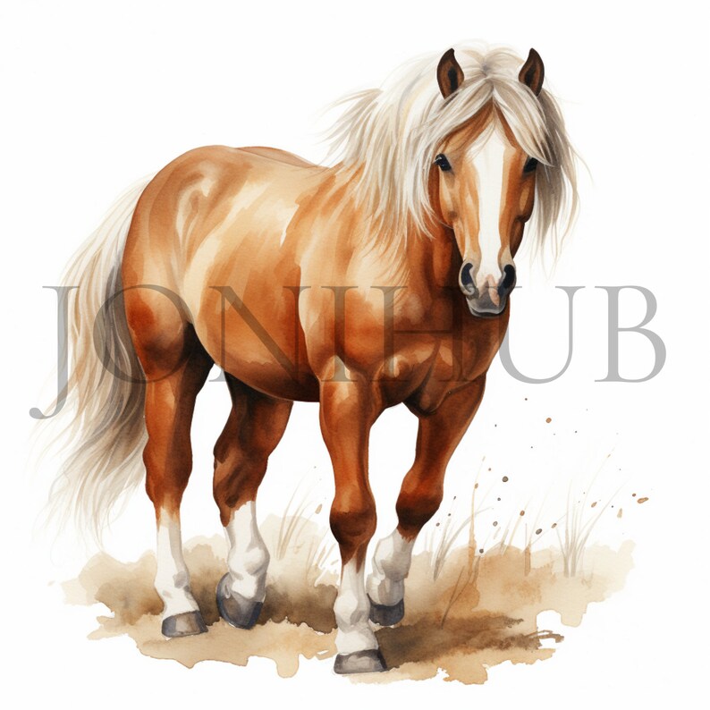 Pony Clipart | 10 High Quality Jpg's | Digital Download | Cute Pony Art ...