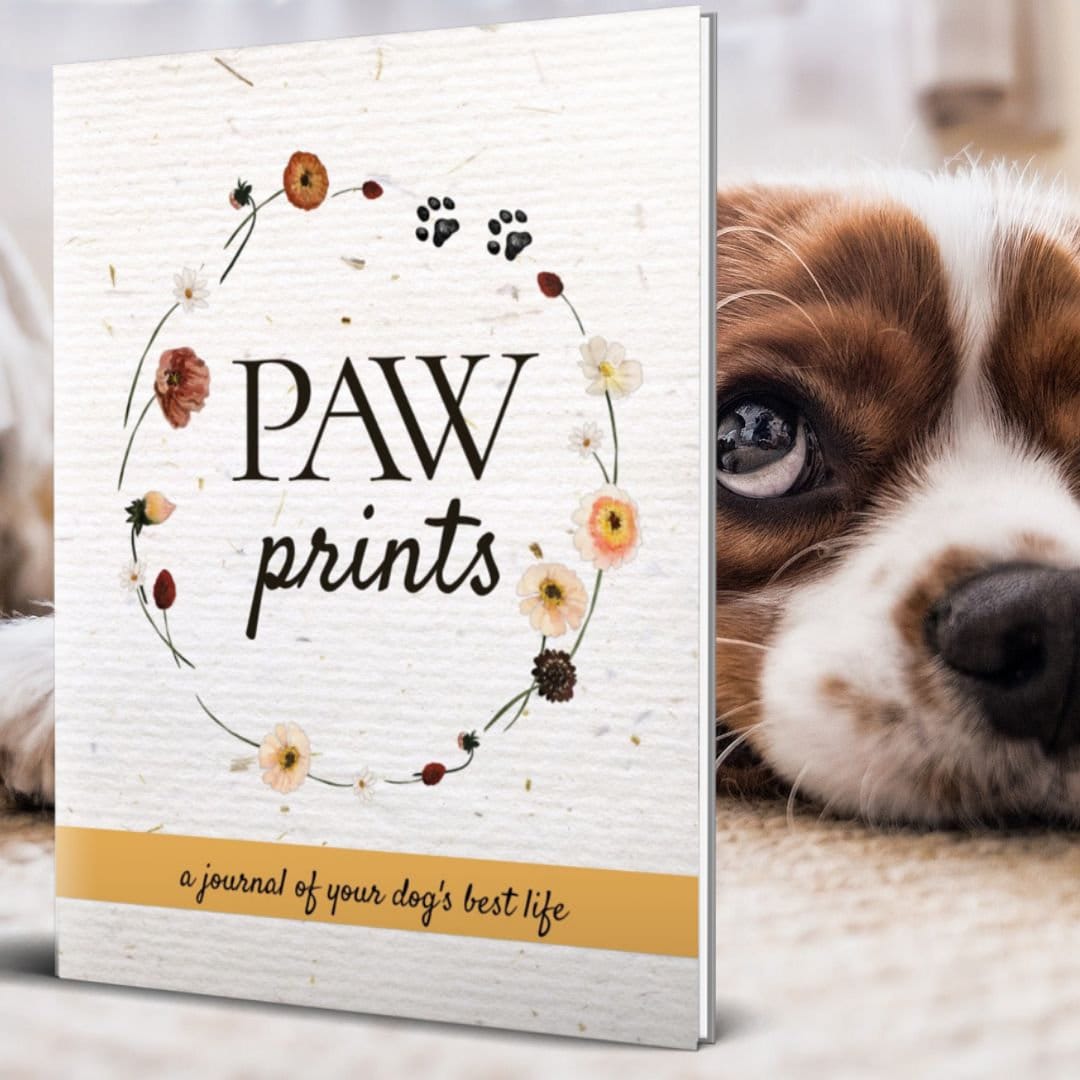 Paw Prints Dog Milestone Journal, Puppy Journal, Dog Memories, Dog ...
