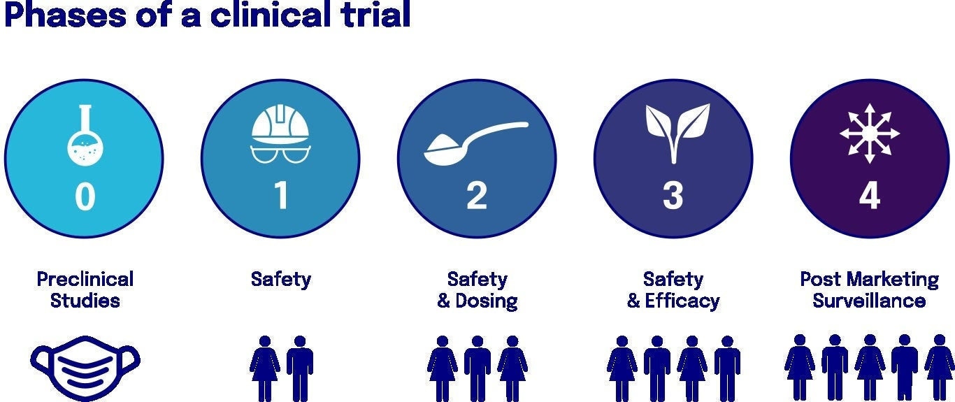 Infographic: 5 Phases of a Clinical Trial 5 Phases of a - Etsy
