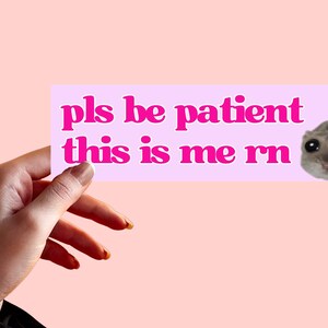 Sad Hamster Tiktok Meme Bumper Car Stickers Set of 8 Stickers Funny New ...