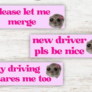 Sad Hamster Tiktok Meme Bumper Car Stickers Set of 8 Stickers Funny New ...