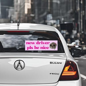 Sad Hamster Tiktok Meme Bumper Car Stickers Set of 8 Stickers Funny New ...